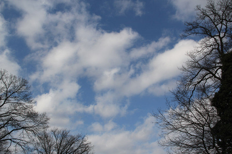 Wetter - Wannsee Segler